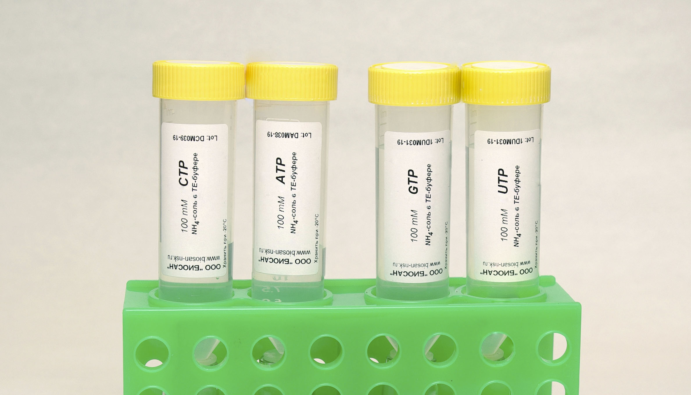 Набор 100 мМ растворов ATP, GTP, CTP, UTP в TE-буфере