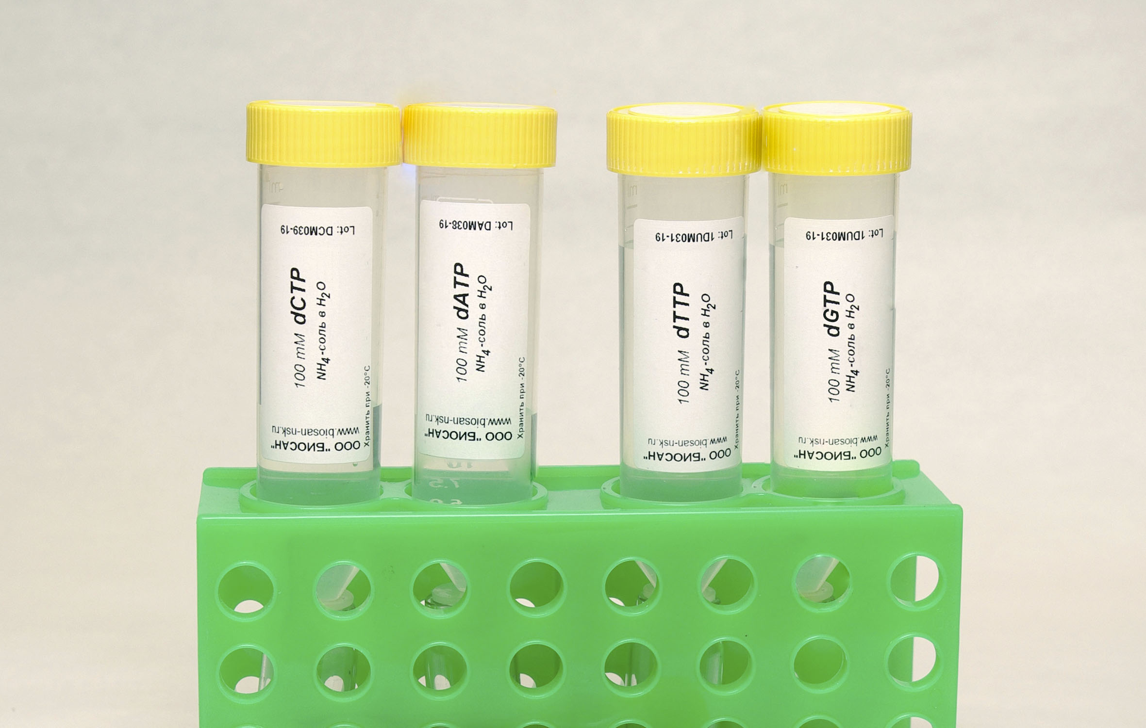 Набор 100 мМ растворов dATP, dGTP, dCTP, dTTP в воде